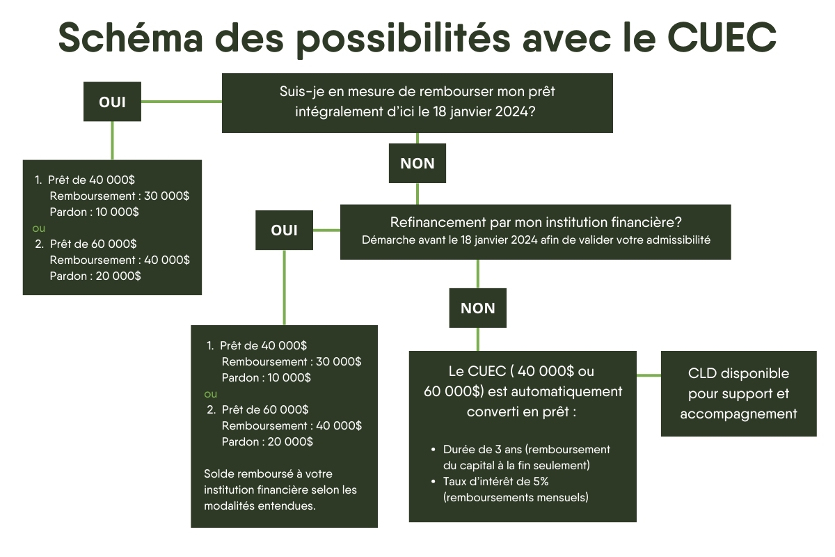 Schéma des possibilités avec le CUEC - CLD Brome-Missisquoi